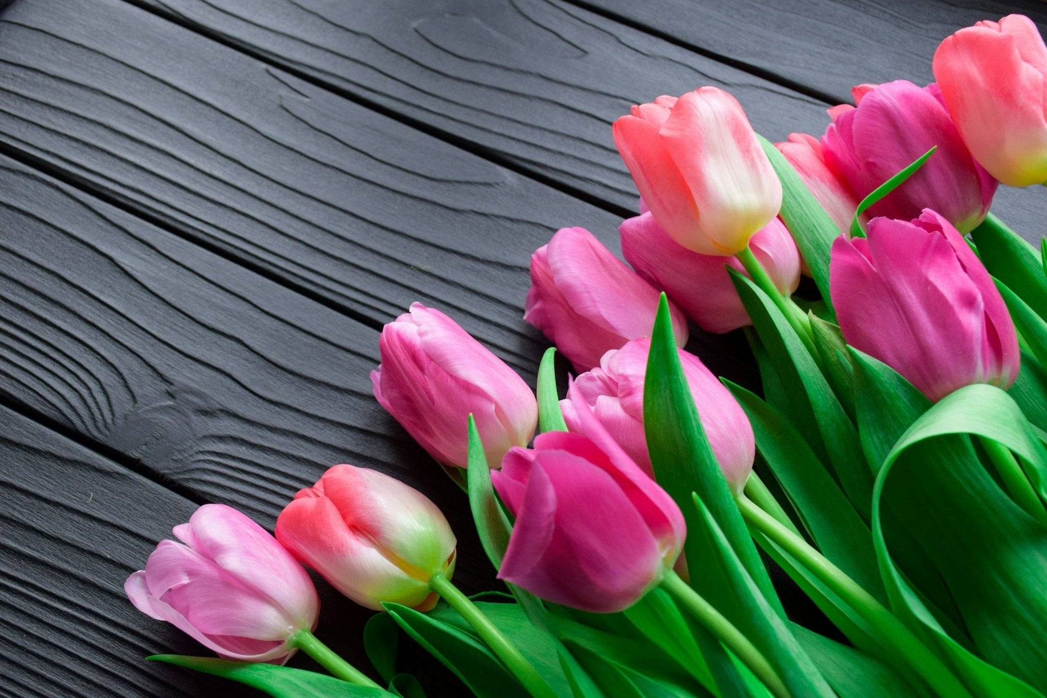 15 Tulip Arrangement Ideas to Brighten Up Any Celebration