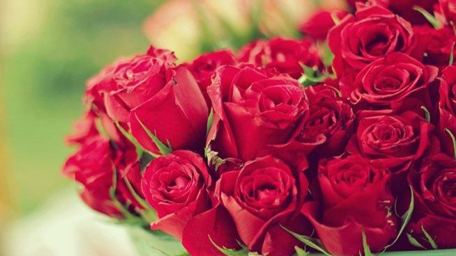 99 Roses: The Perfect Flower Arrangement for Proposals, Anniversaries,