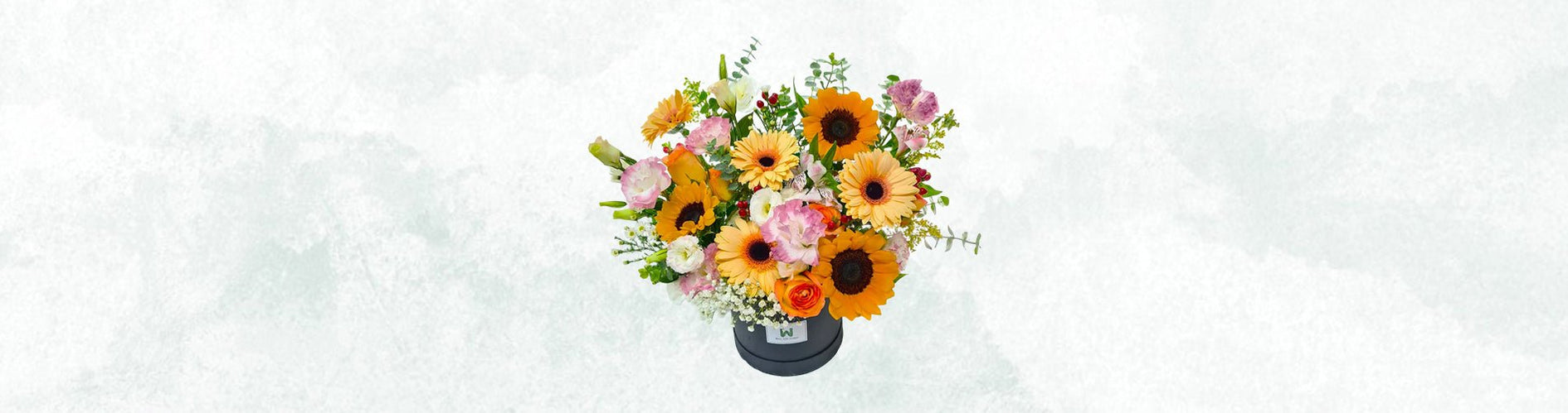 Best Flowers to Brighten Someone’s Recovery Journey