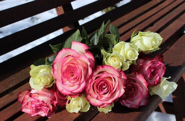 How to Make Your Roses Last Longer: A Comprehensive Guide by Well Live