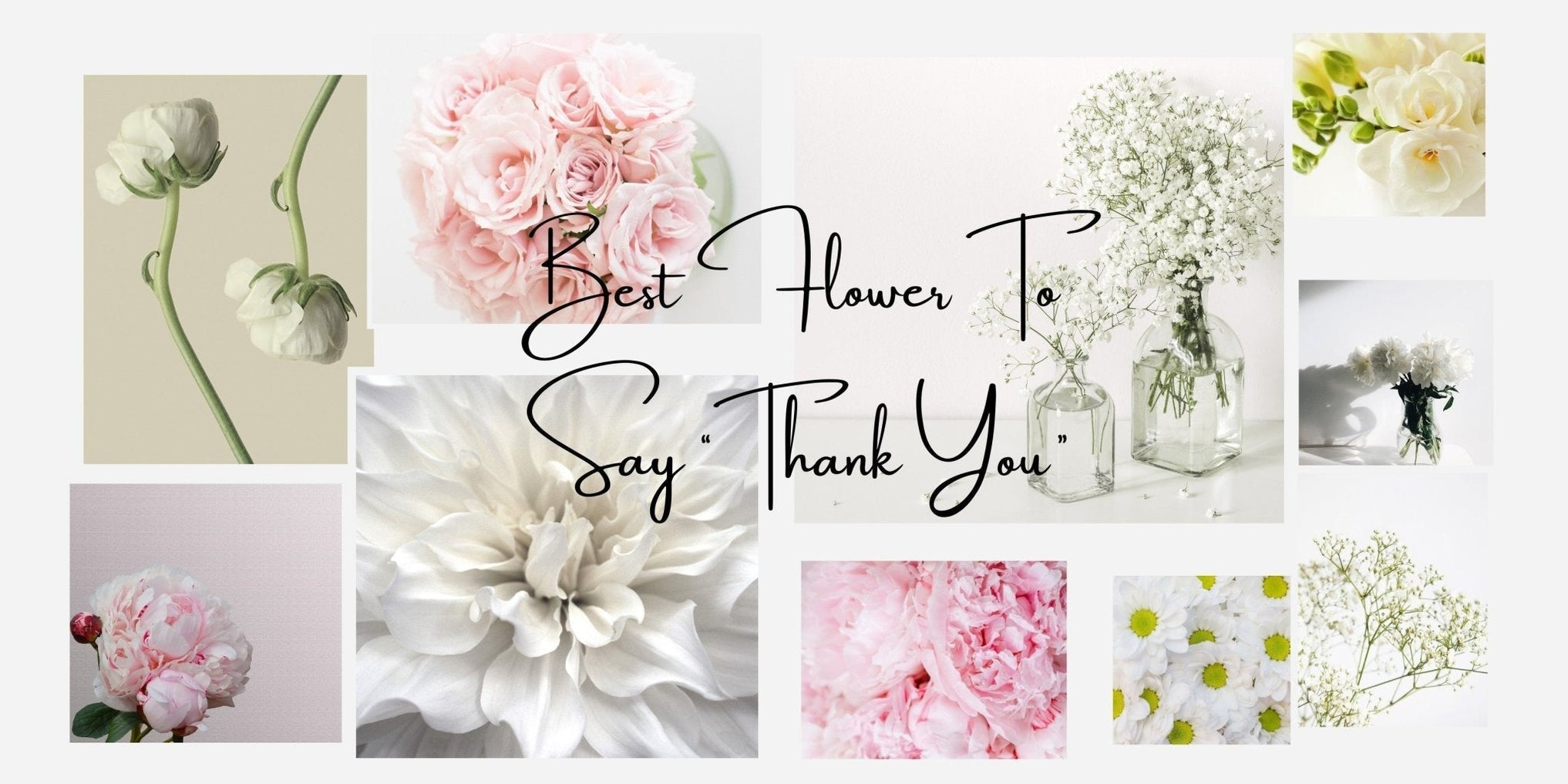 The Best Flowers to Say Thank You | Well Live Florist Singapore