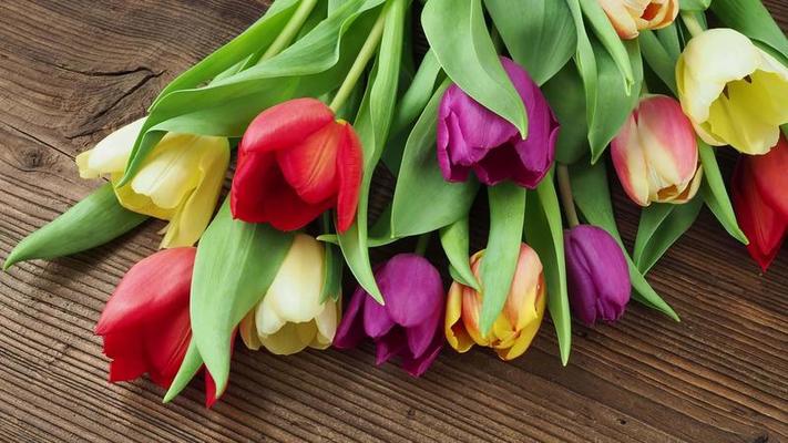 Tulip Symbolism Across Cultures: Beauty with Meaning