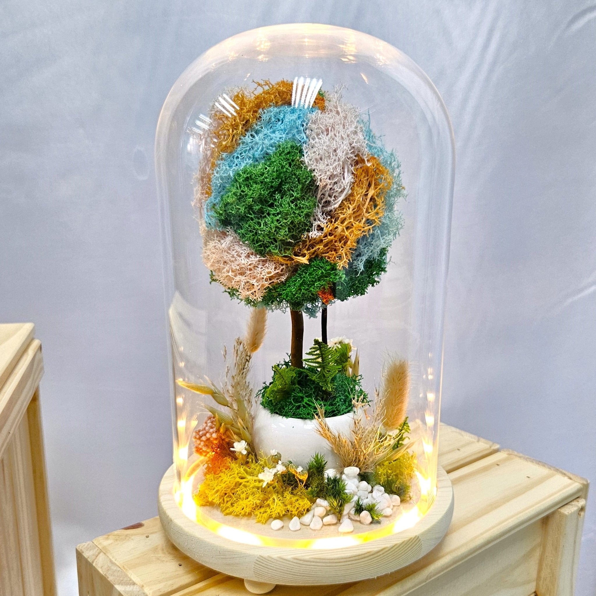 Glass Dome Flower Singapore - Well Live Florist